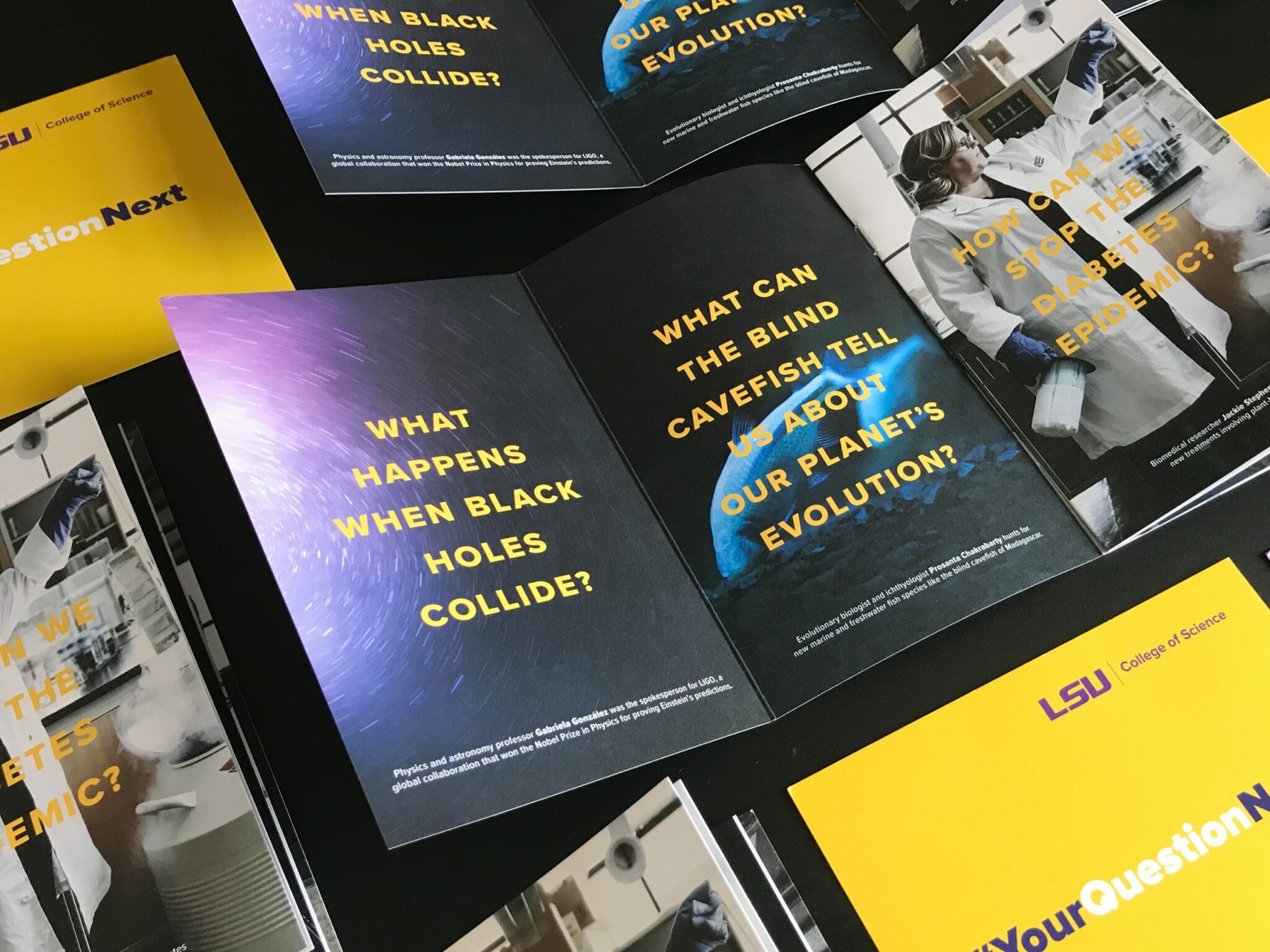 LSU College of Science